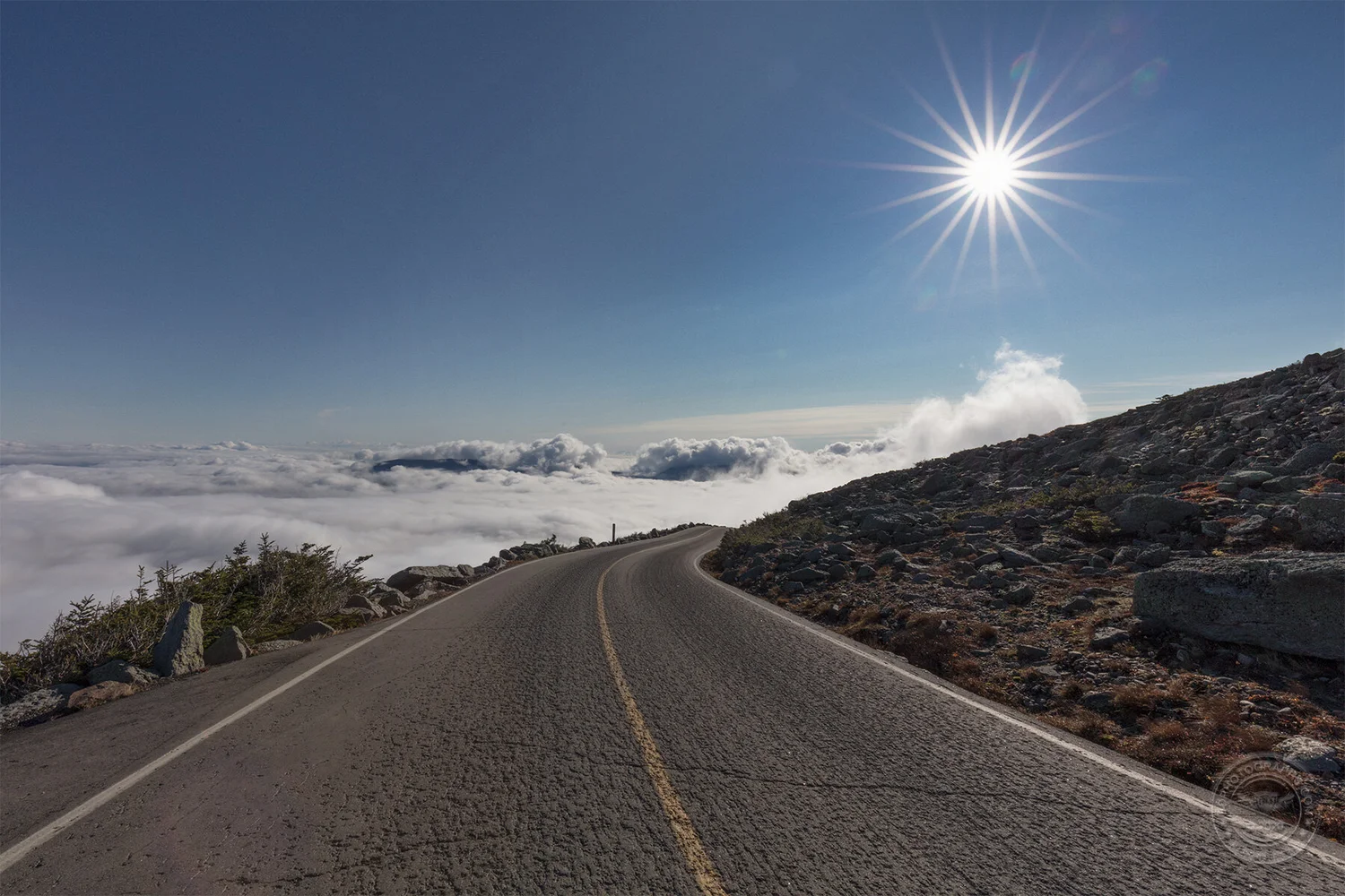 BD PHOTOGRAPHS — 10 Tips to Photograph in Harsh Light