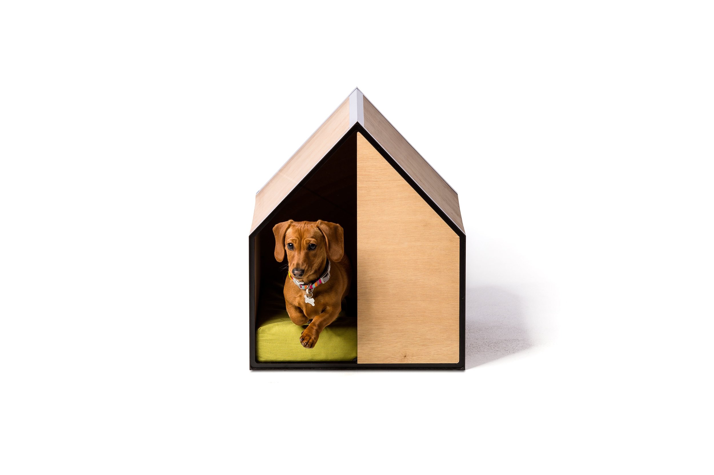 The Dog Room — Michael Ong Design Office