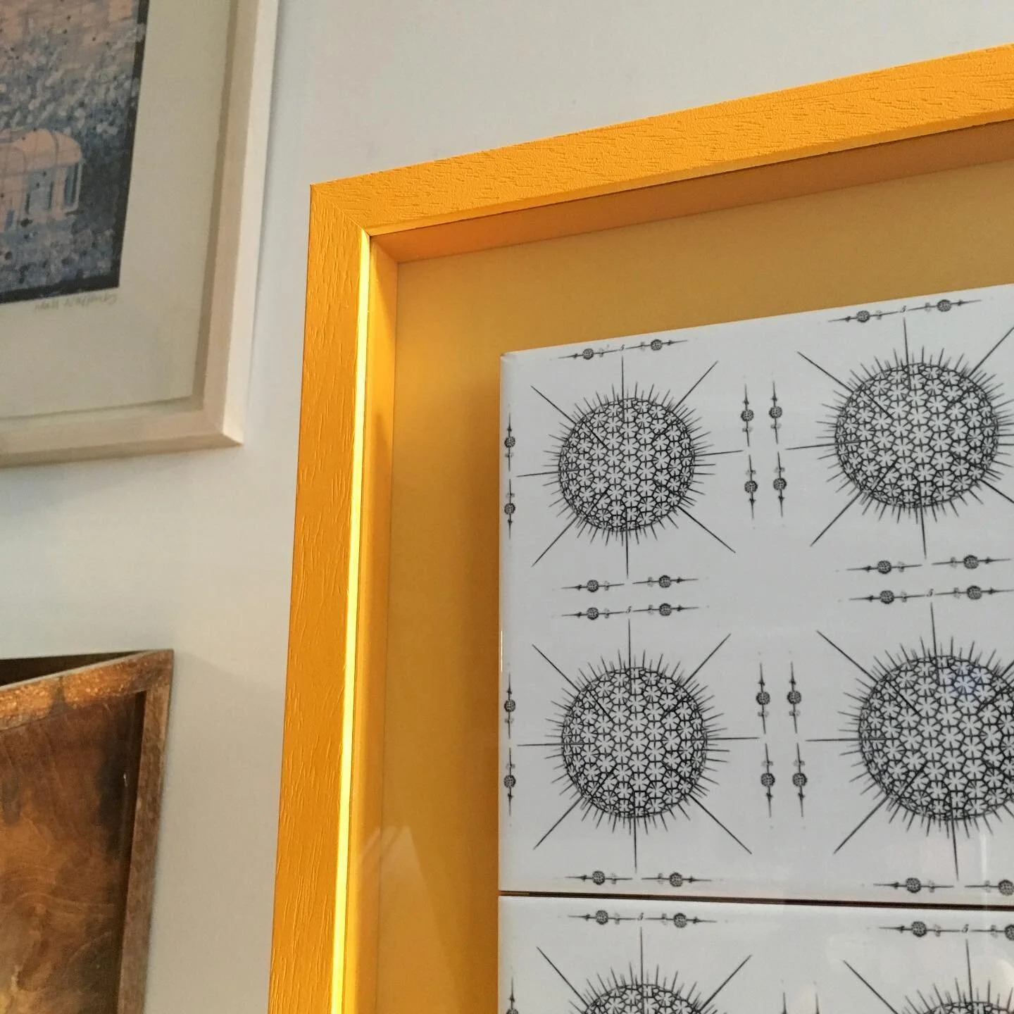 Fox Framing - Images