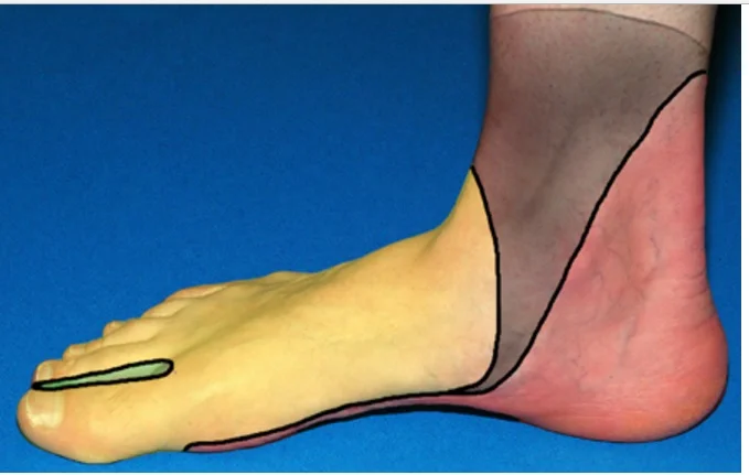 Nerve Blocks of the Foot and Ankle — Downeast Emergency Medicine