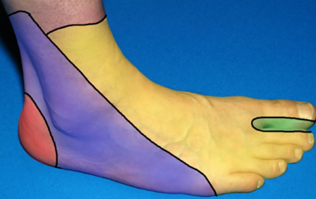 Nerve Blocks of the Foot and Ankle — Downeast Emergency Medicine