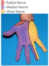 Nerve Blocks of the Hand and Wrist — Downeast Emergency Medicine