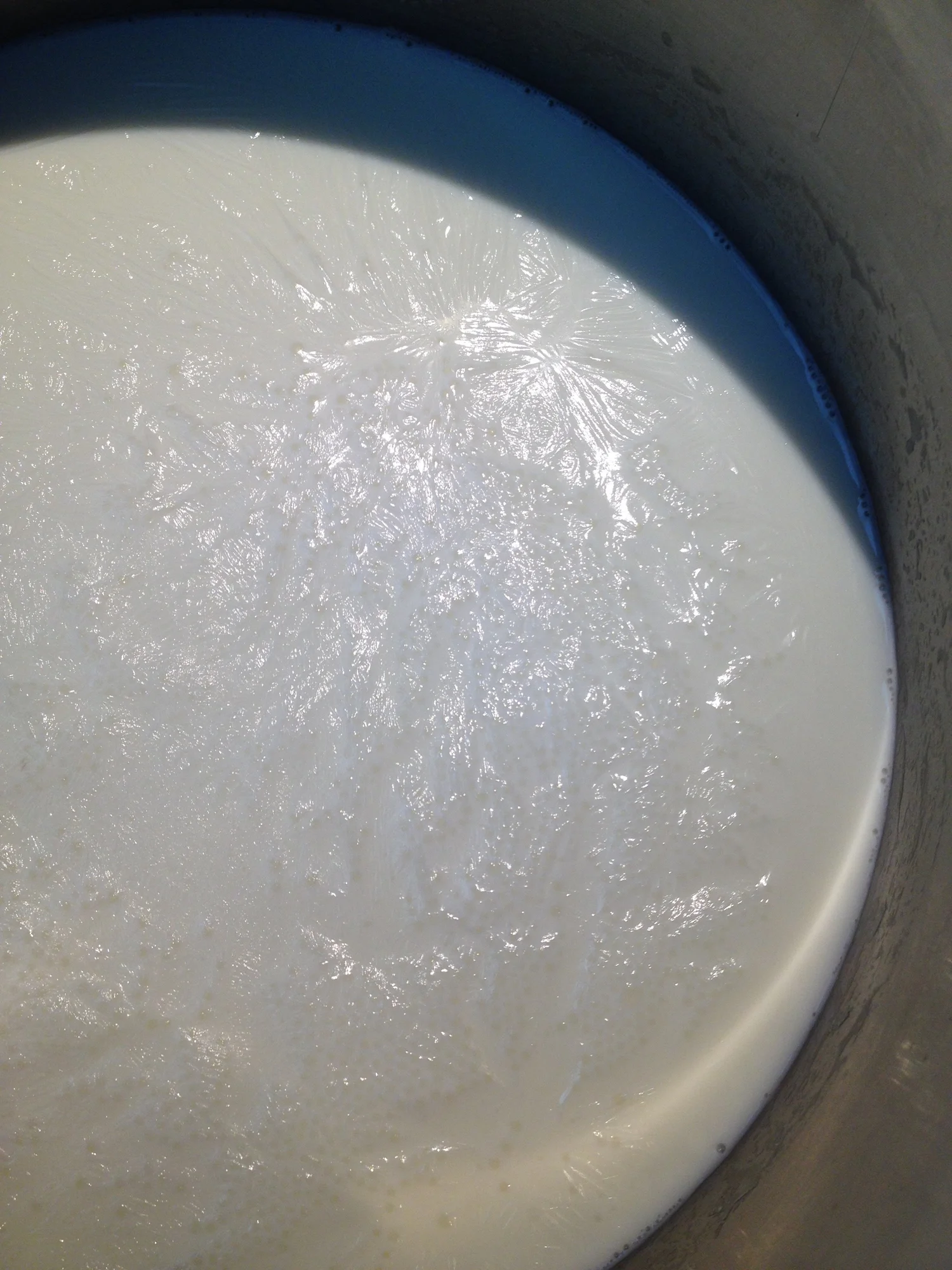 Blessed are the Cheesemakers! — Quinta do Cobral