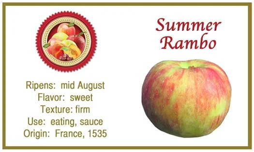 Apples — Ridgetop Orchards