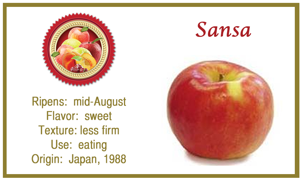 Apples — Ridgetop Orchards