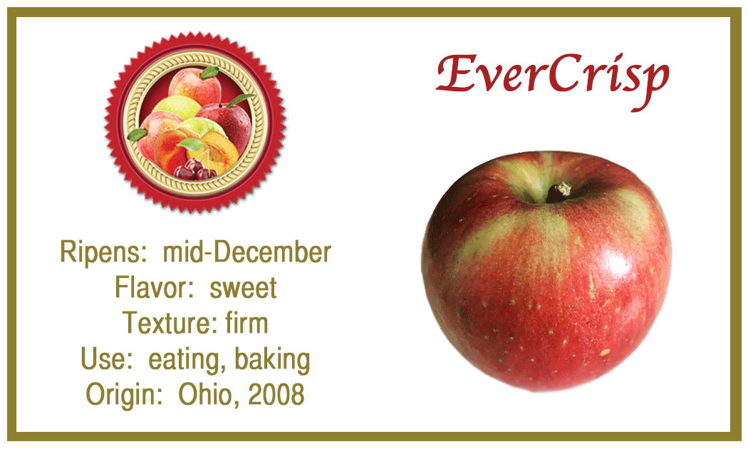 Apples — Ridgetop Orchards