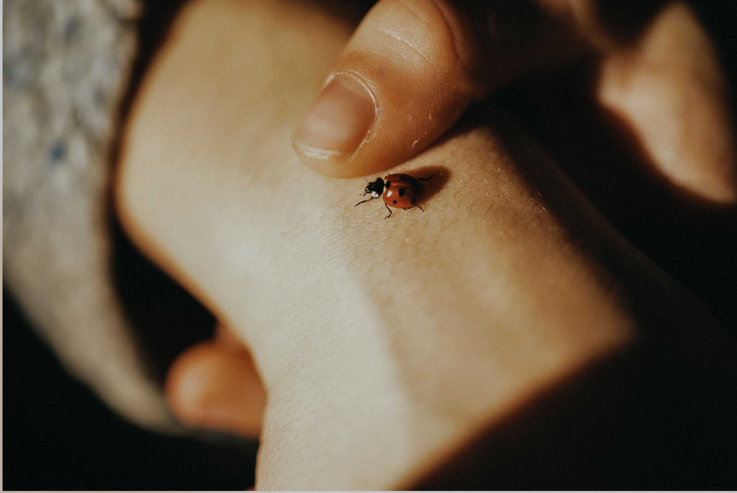 Glimmers: what they are, why they matter, and 5 ways to find them ...