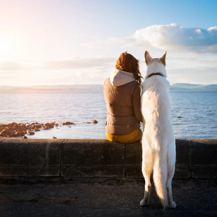 Take care of your mental health with October's mindful living calendar ...