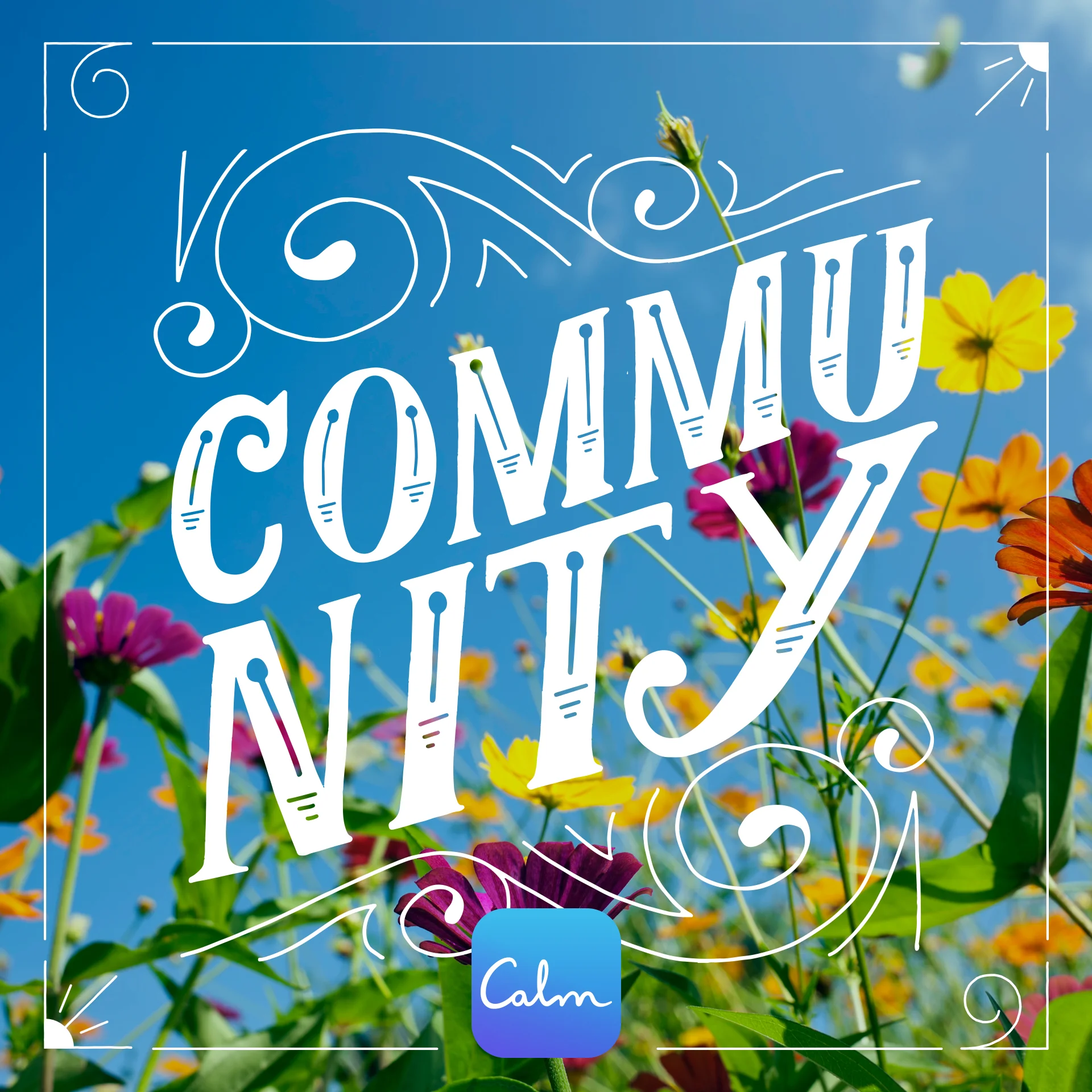 COMMUNITY — Calm Blog