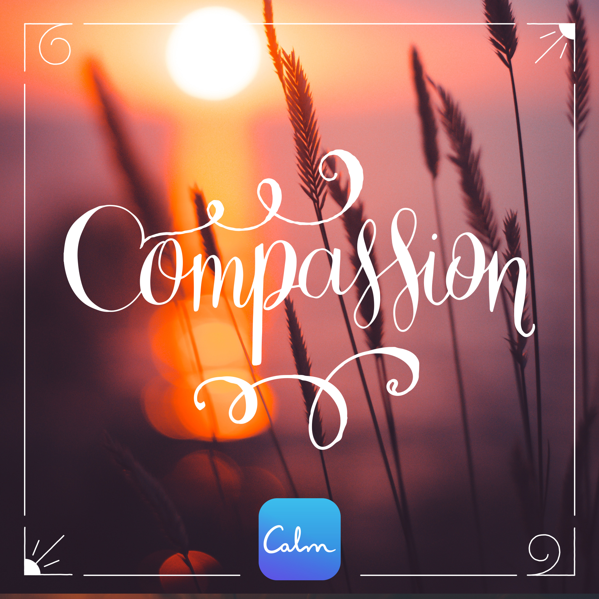 COMPASSION — Calm Blog