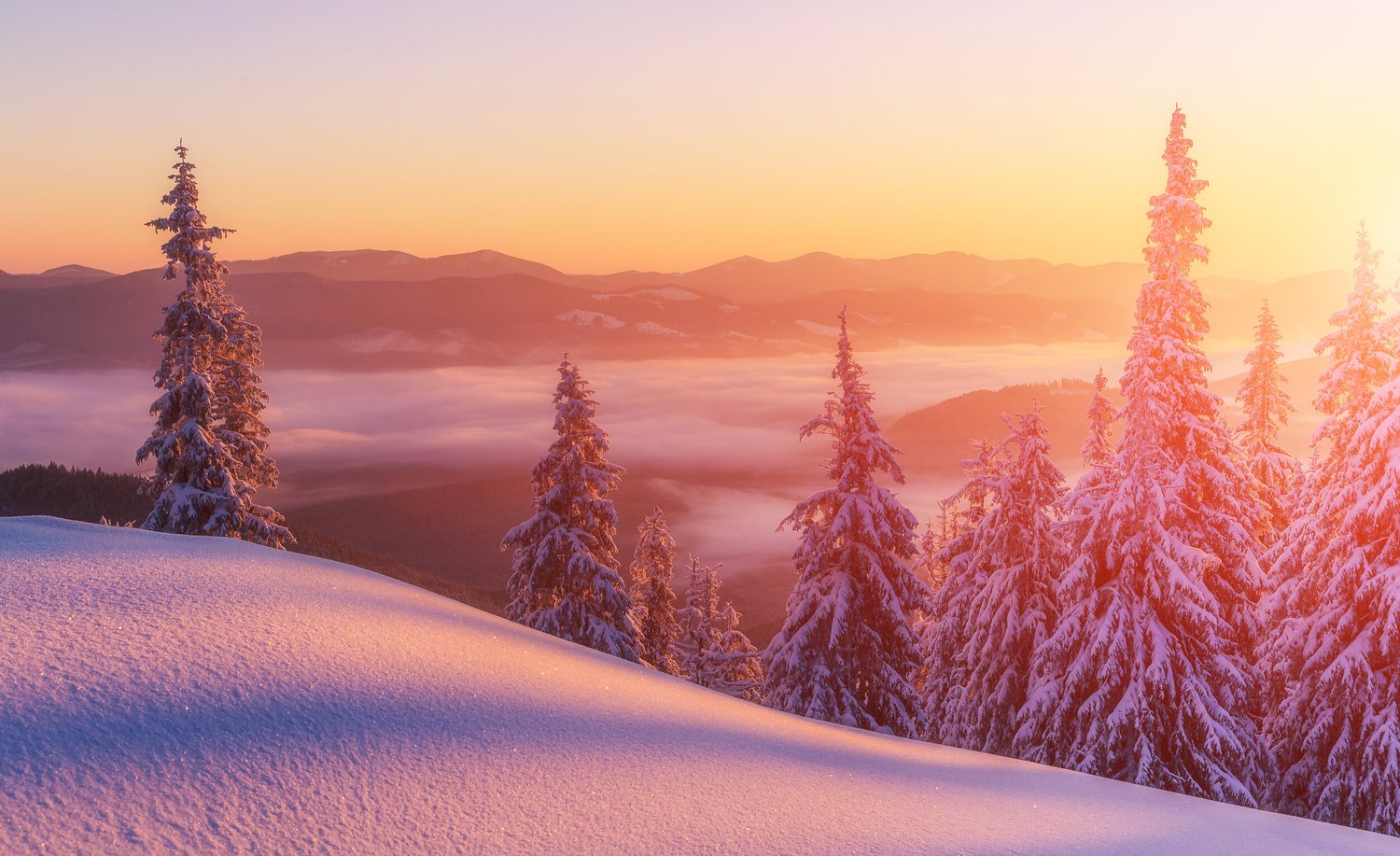 31 ways to cultivate more peace and joy this holiday season — Calm Blog