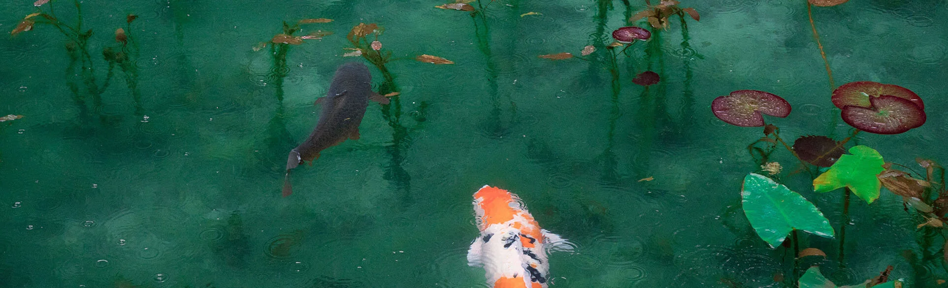 Vamos atravessar esse momento juntos — Calm Blog