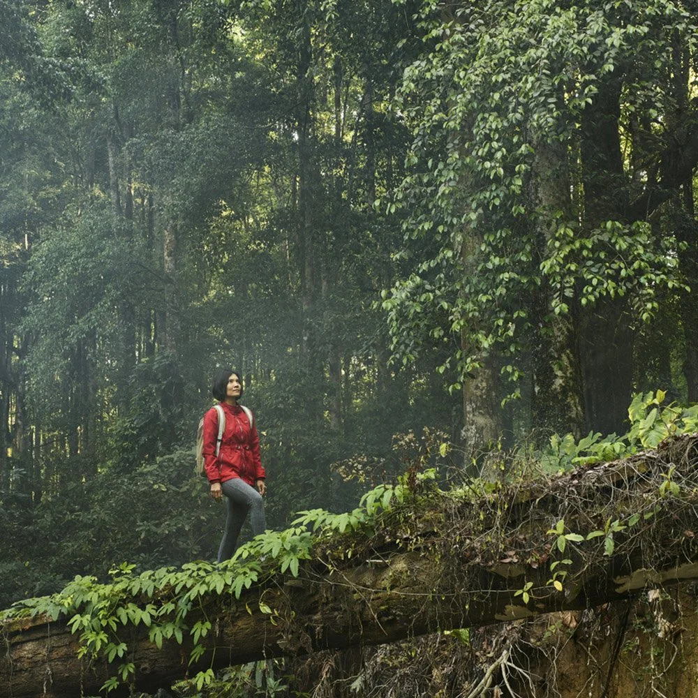 Calm Blog | Calm your mind. Change your life.