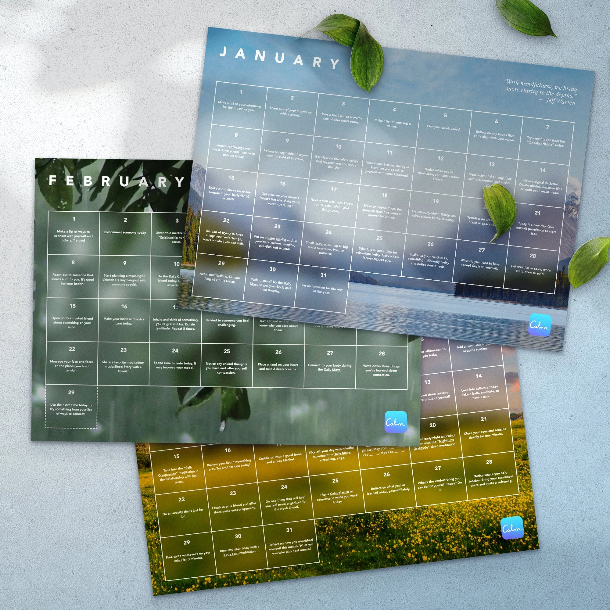 Calm - The #1 App for Meditation and Sleep