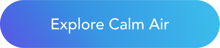 Introducing Calm Air: tranquility takes flight — Calm Blog