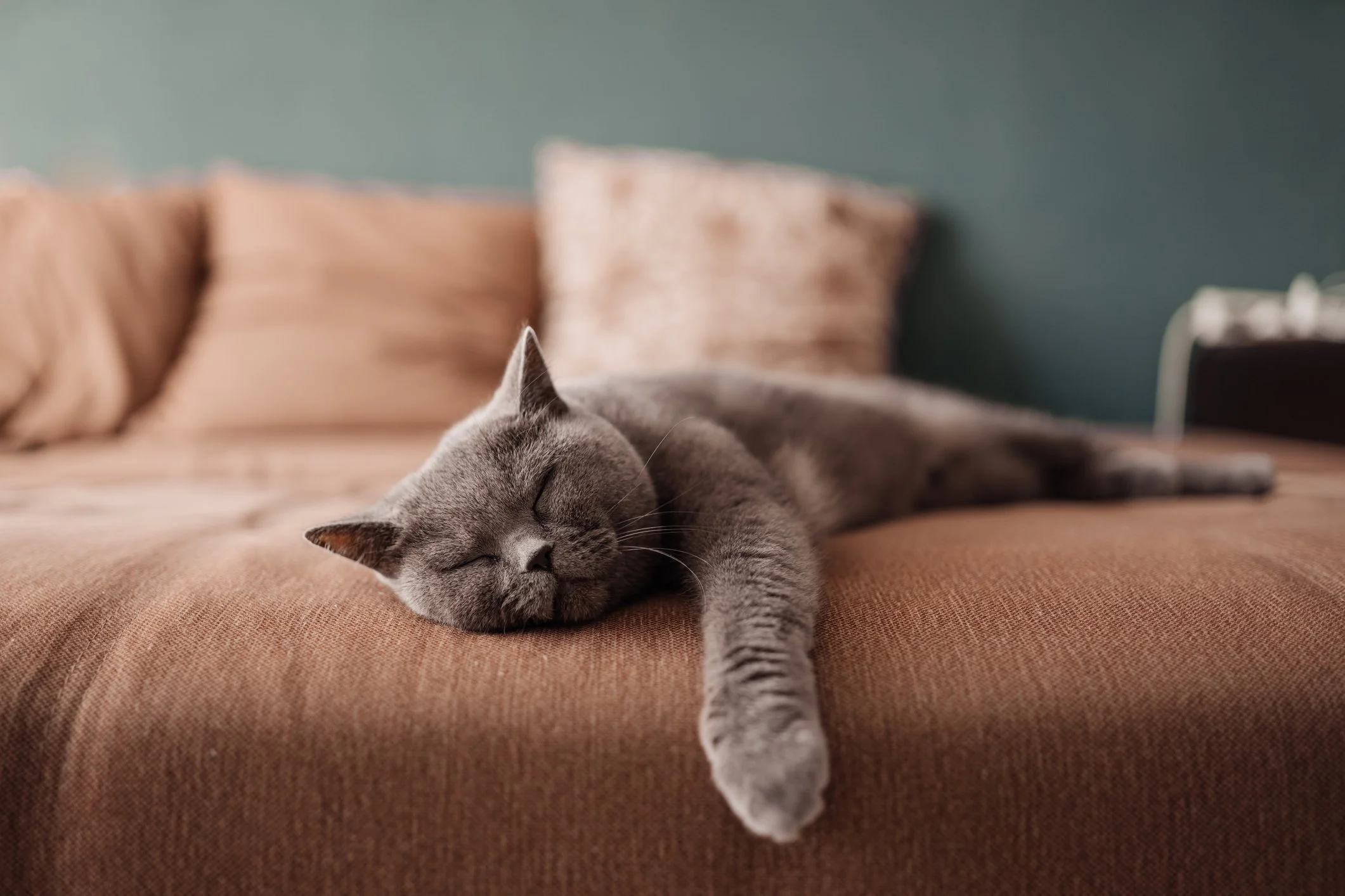 The best time for napping: how long should naps actually last? — Calm Blog