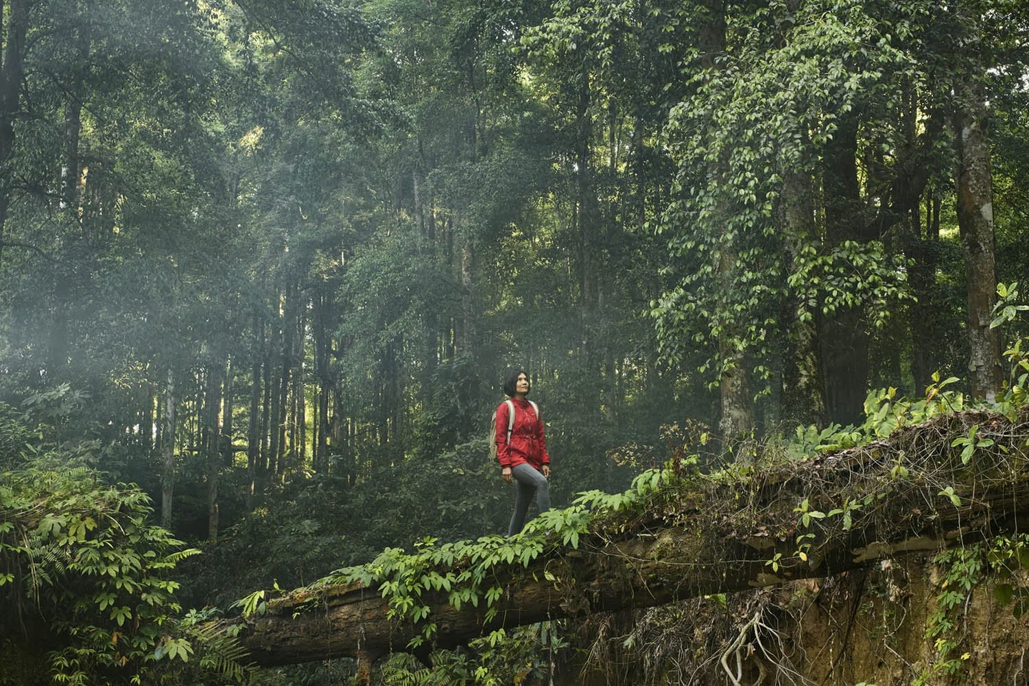 The benefits of silence and how to create a quiet time ritual — Calm Blog