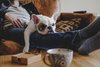 Coffee naps: science, benefits and how to take one — Calm Blog