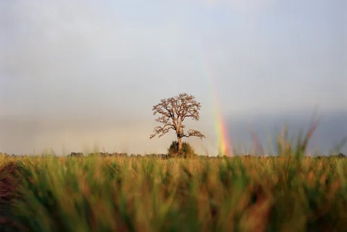Dealing with depression: 12 tips to help you cope — Calm Blog
