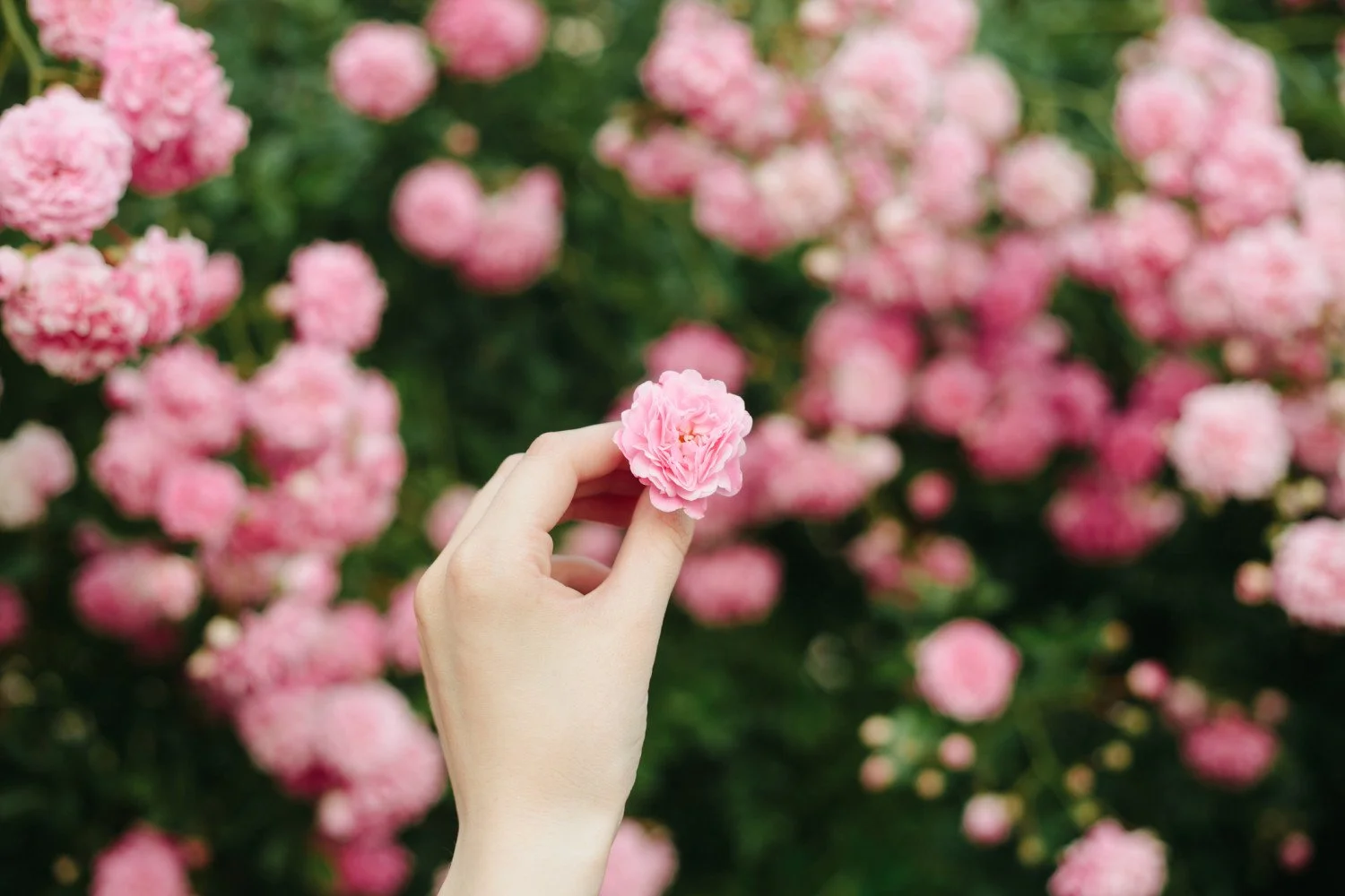 Gratitude meditation and practices to make you feel better — Calm Blog