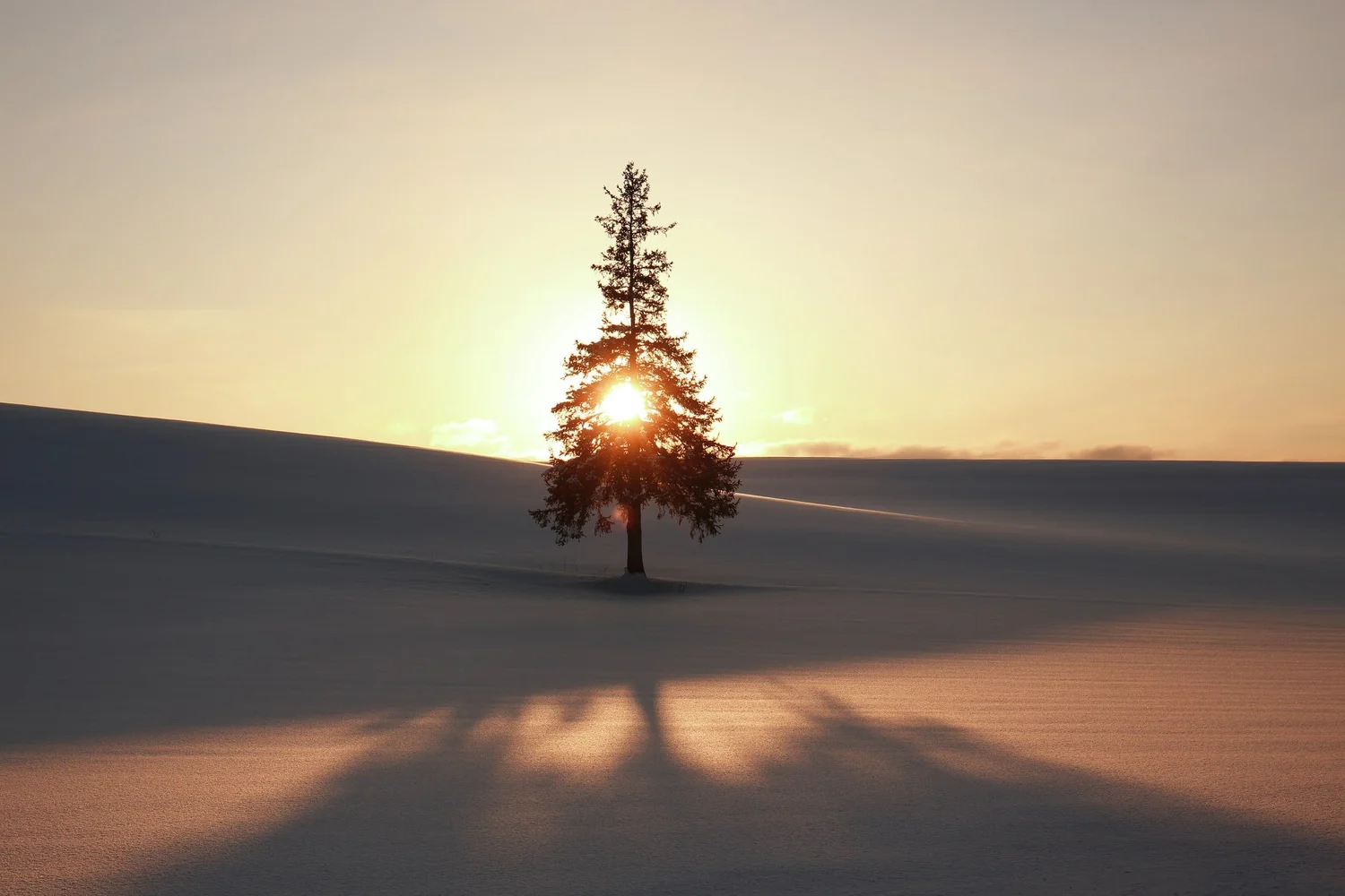 How to cope with holiday stress — Calm Blog