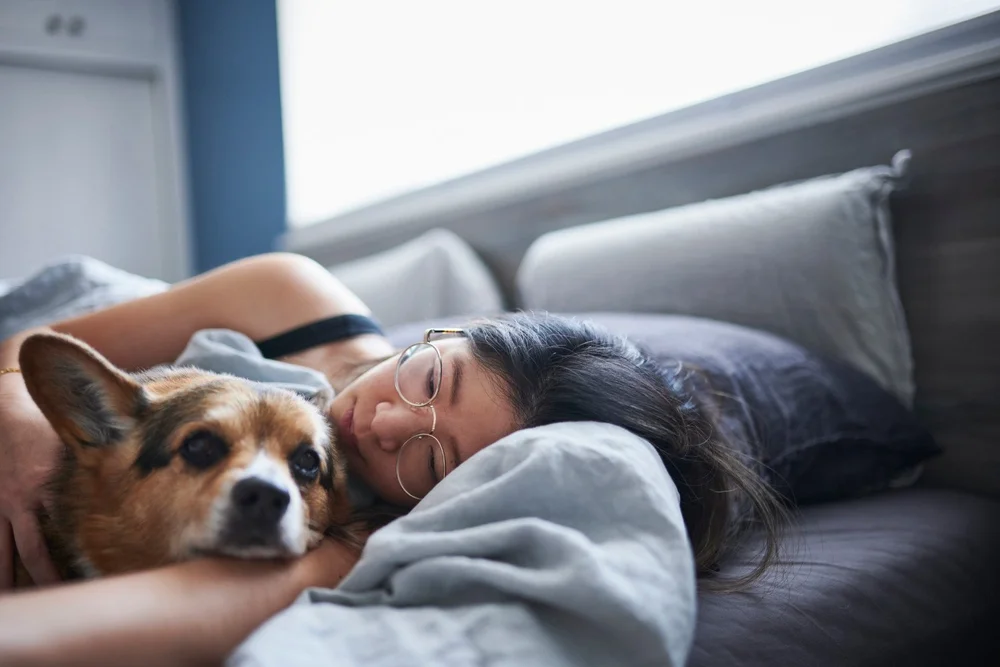 How to fall back asleep in the middle of the night — Calm Blog