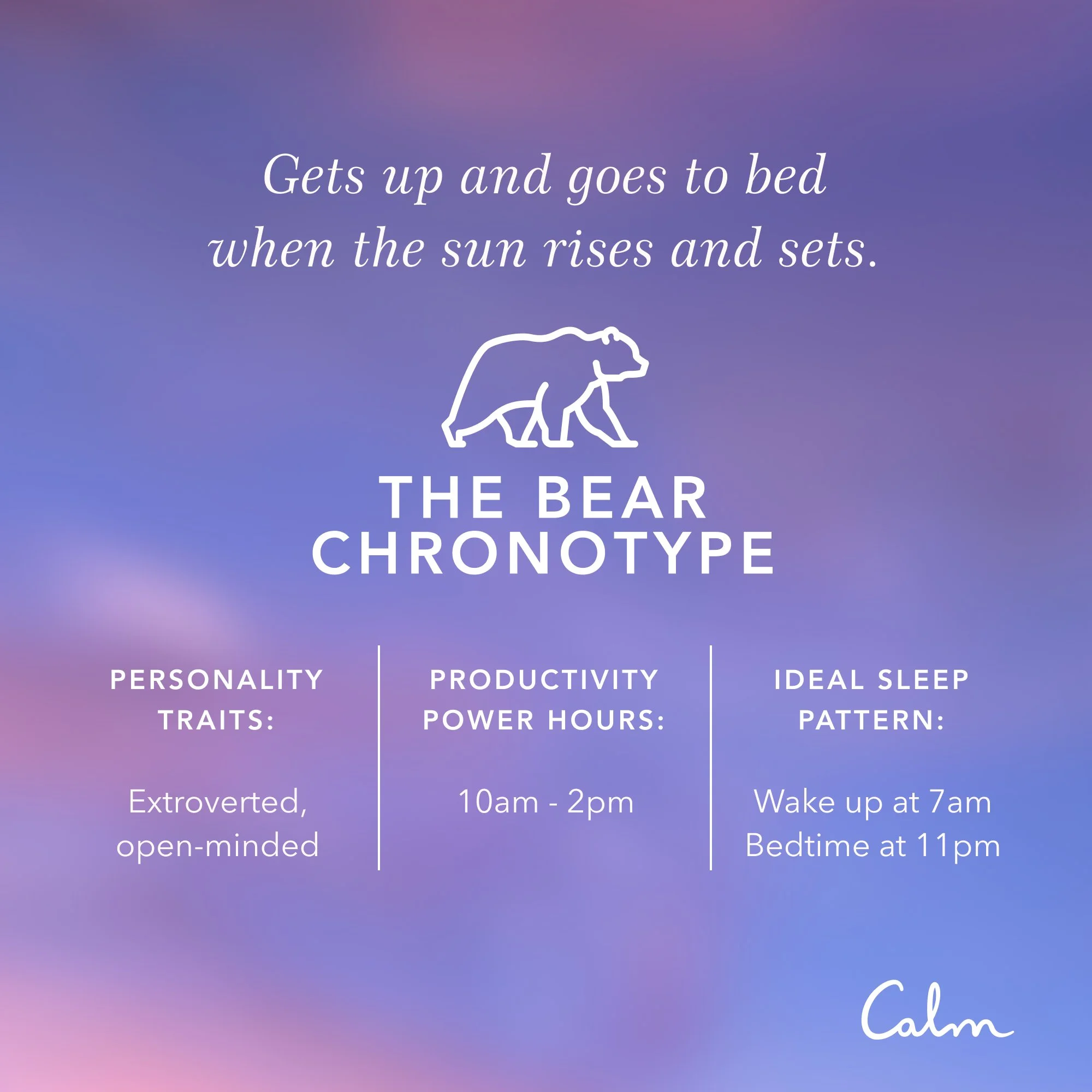 What your chronotype says about your sleep patterns, productivity ...
