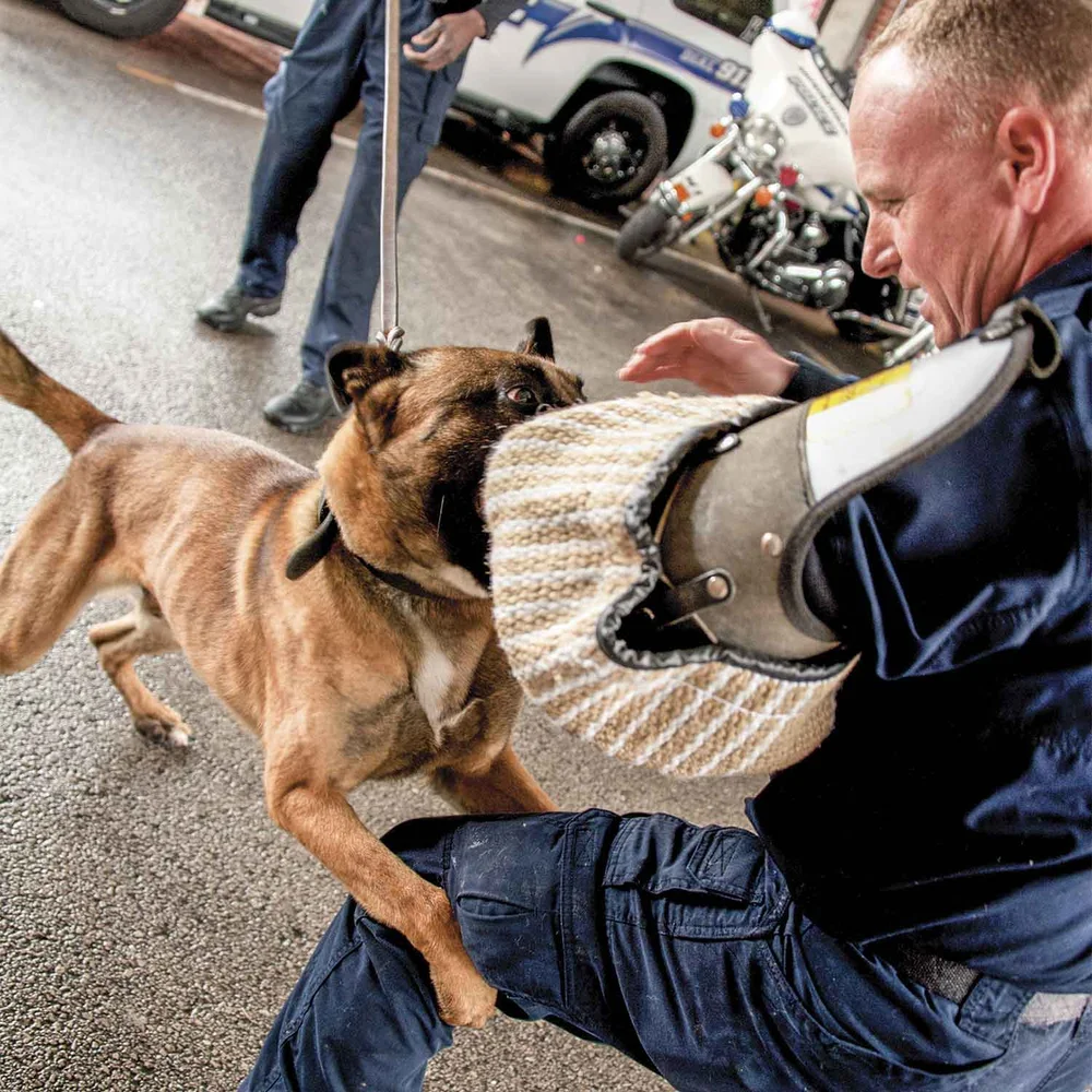 The Four-Legged Officer — Kentucky Law Enforcement