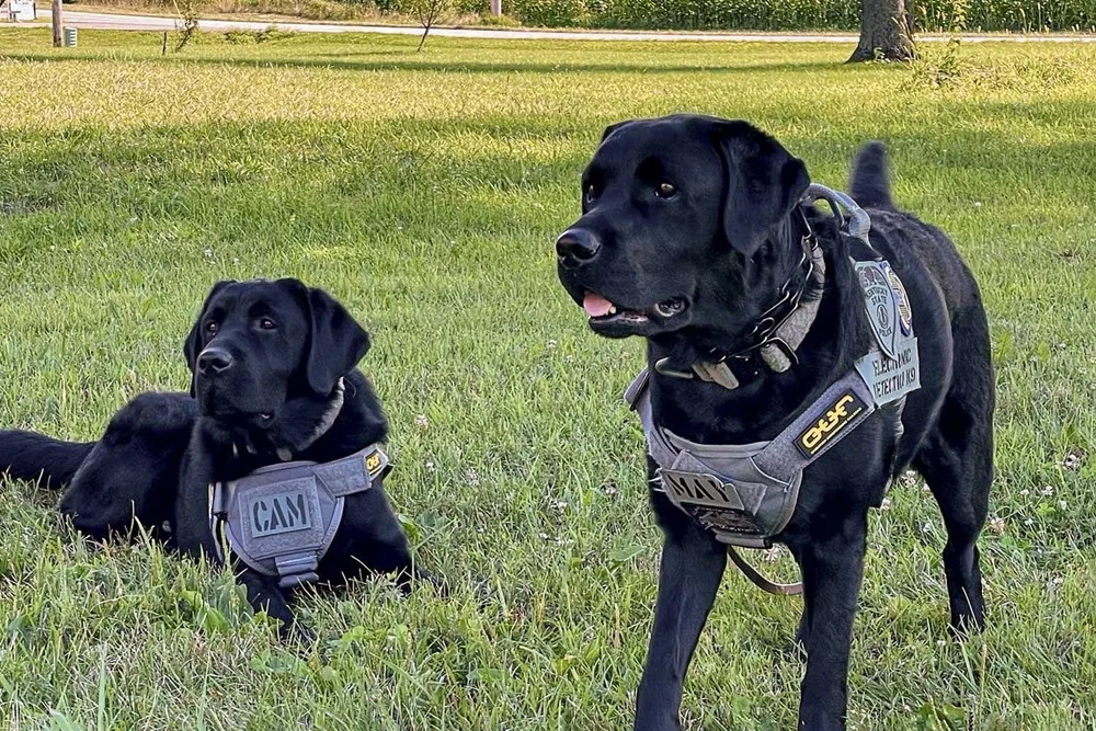 A Nose for The Job — Kentucky Law Enforcement