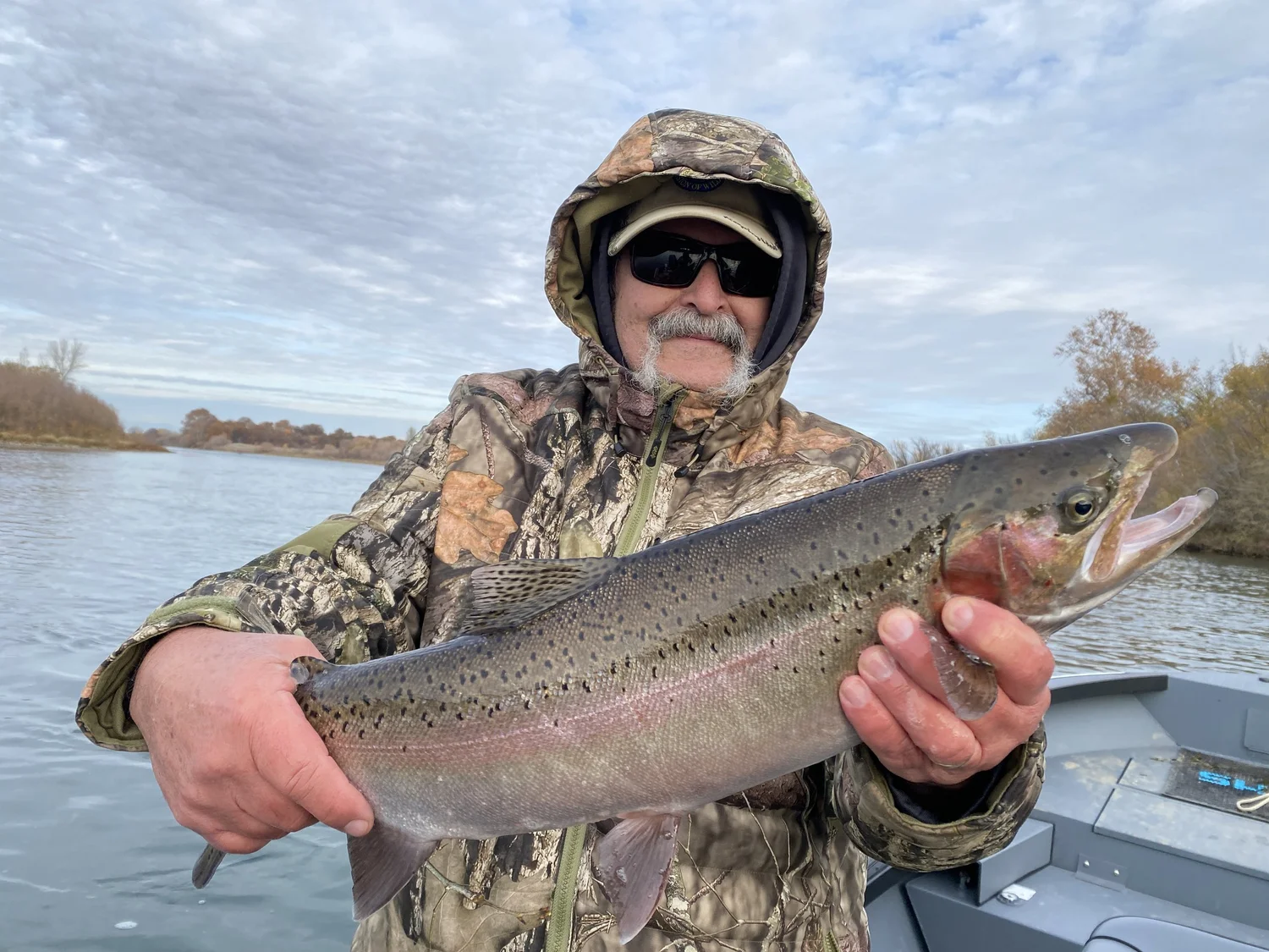 Sacramento River Steelhead & Wild Rainbow Trout — Jeff Goodwin Fishing