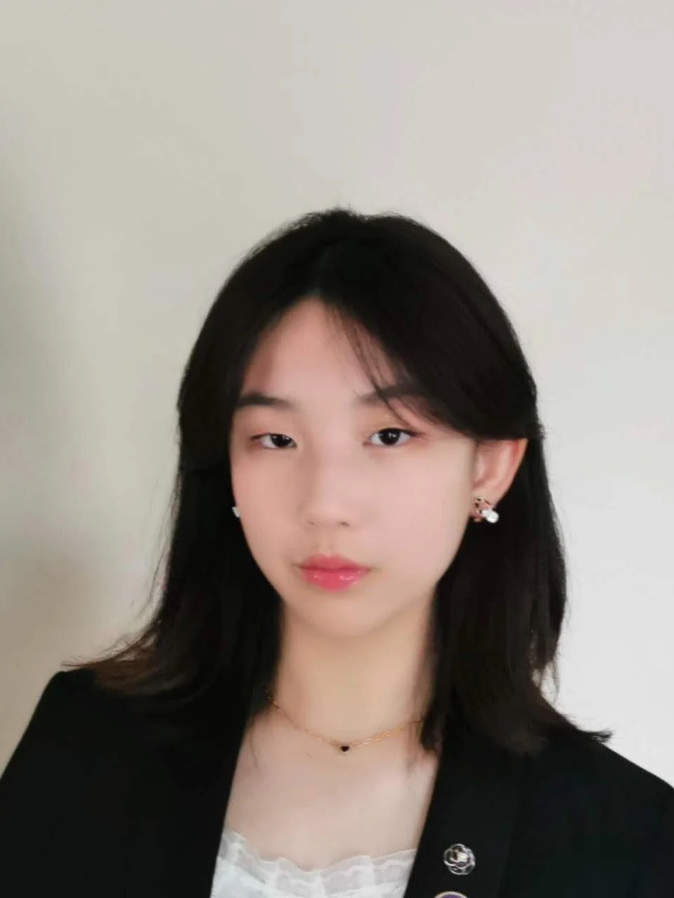 CW — Canadian High Schools Model United Nations