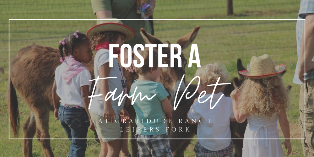 Foster a Farm Pet — WHERE MAGIC HAPPENS