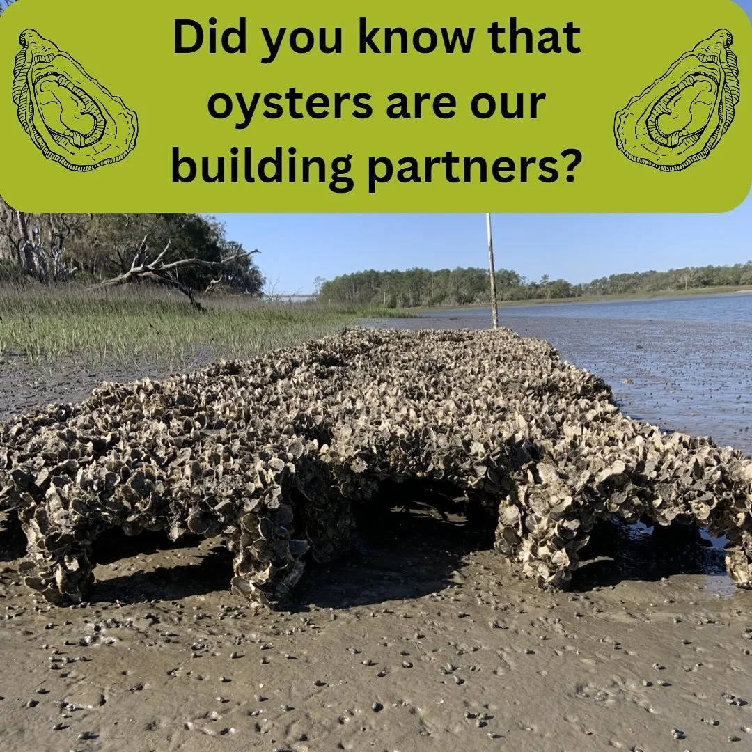 Sandbar Oyster Company