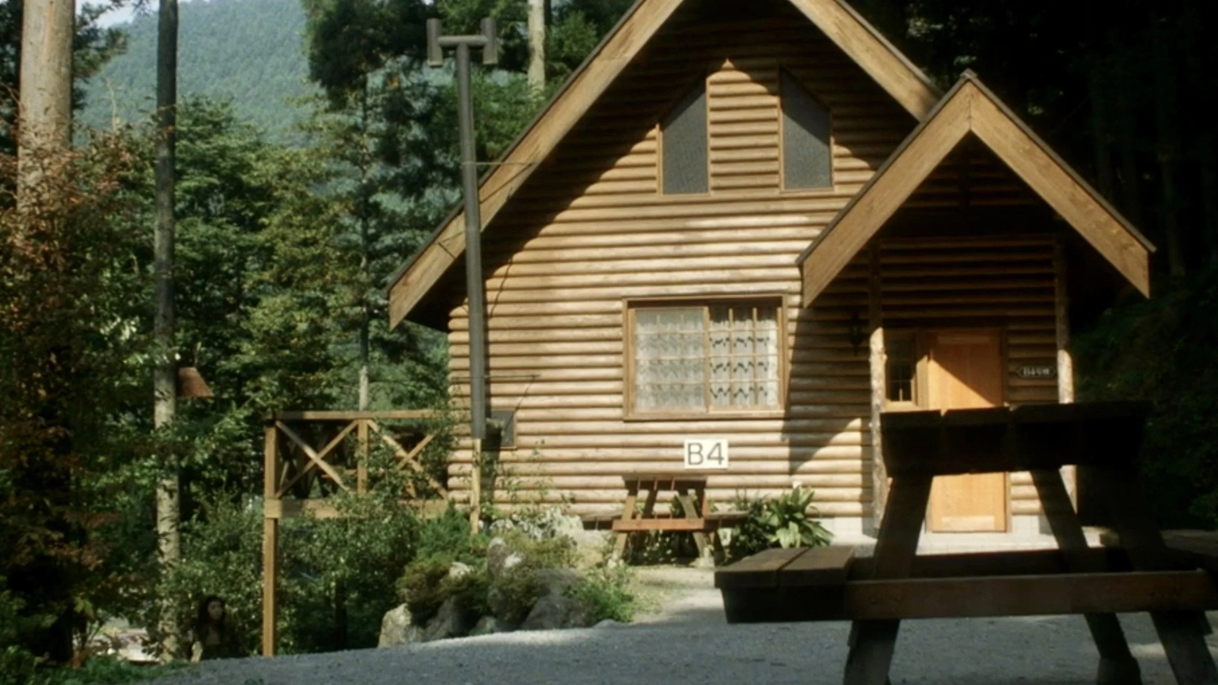 The Amityville Horror House and Ringu Cabin Movie Locations — The ...