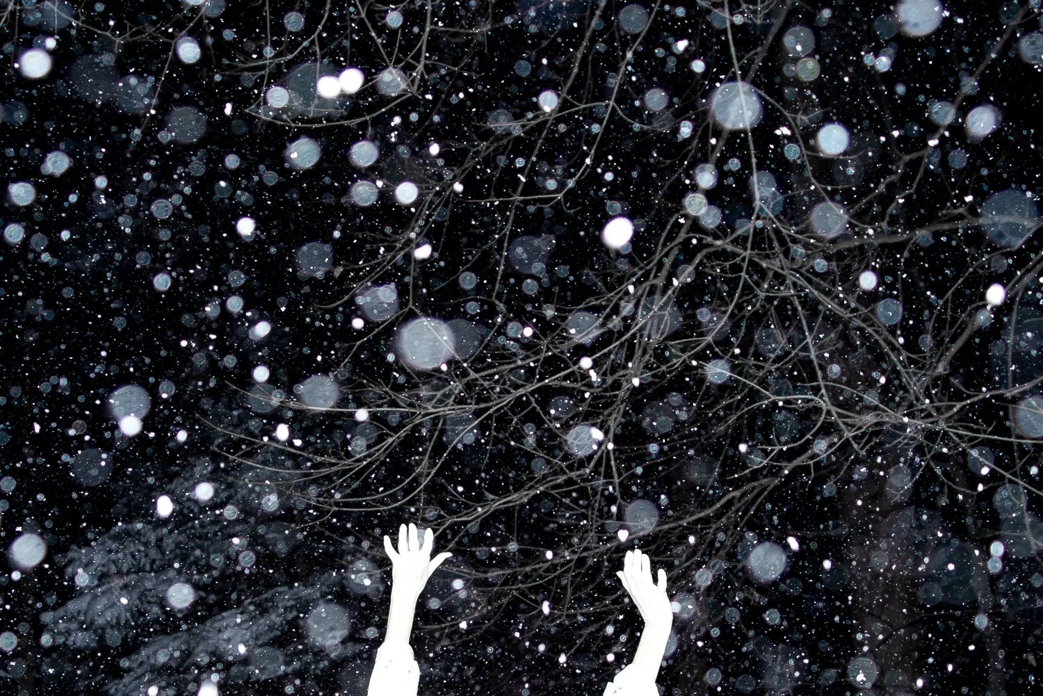 PORTRAITS — Lane Coder Photography