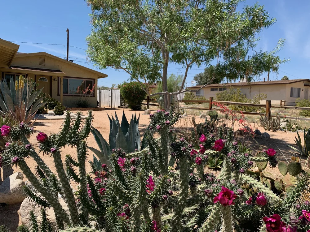 Rent29 - Furnished Rental Homes | 29 Palms | Joshua Tree | Vacation ...