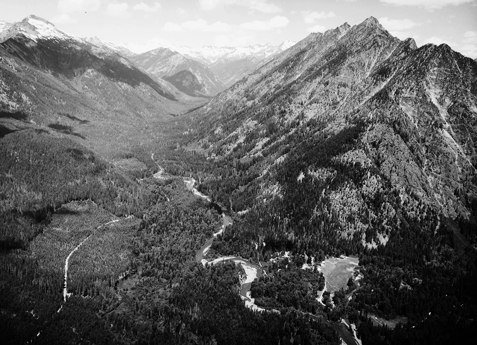 Our Story — Tall Timber