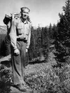 Our Story — Tall Timber