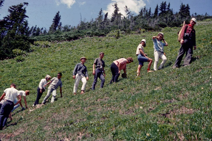 Our Story — Tall Timber