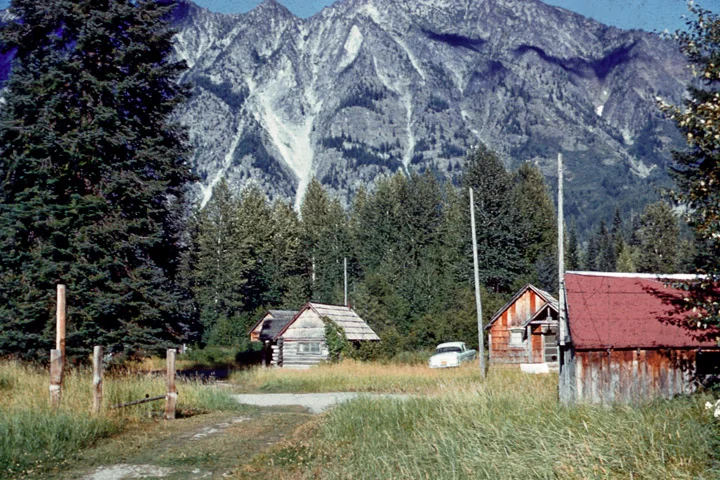 Our Story — Tall Timber