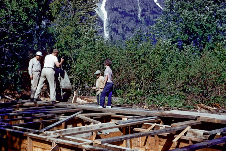 Our Story — Tall Timber