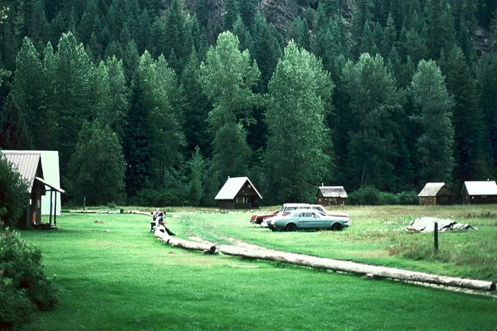 Our Story — Tall Timber