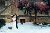 Celebrate Your Wedding at Grace