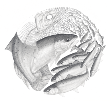 Michael Zontos — Bug Press - Graphic Design & Printing