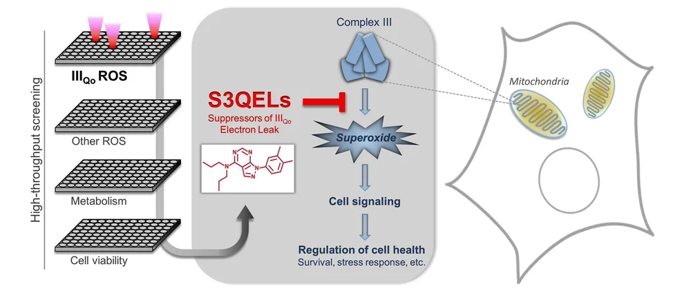 Welcome — The Orr Laboratory
