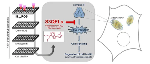 Welcome — The Orr Laboratory