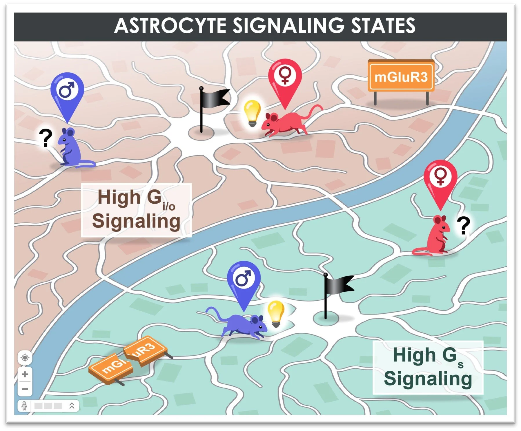 Lab News — The Orr Laboratory