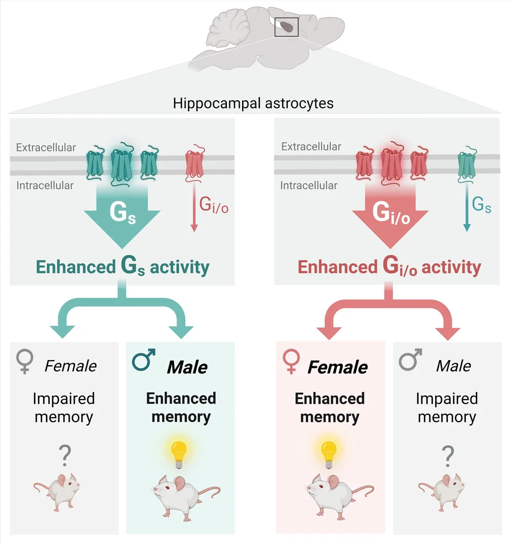 Welcome — The Orr Laboratory