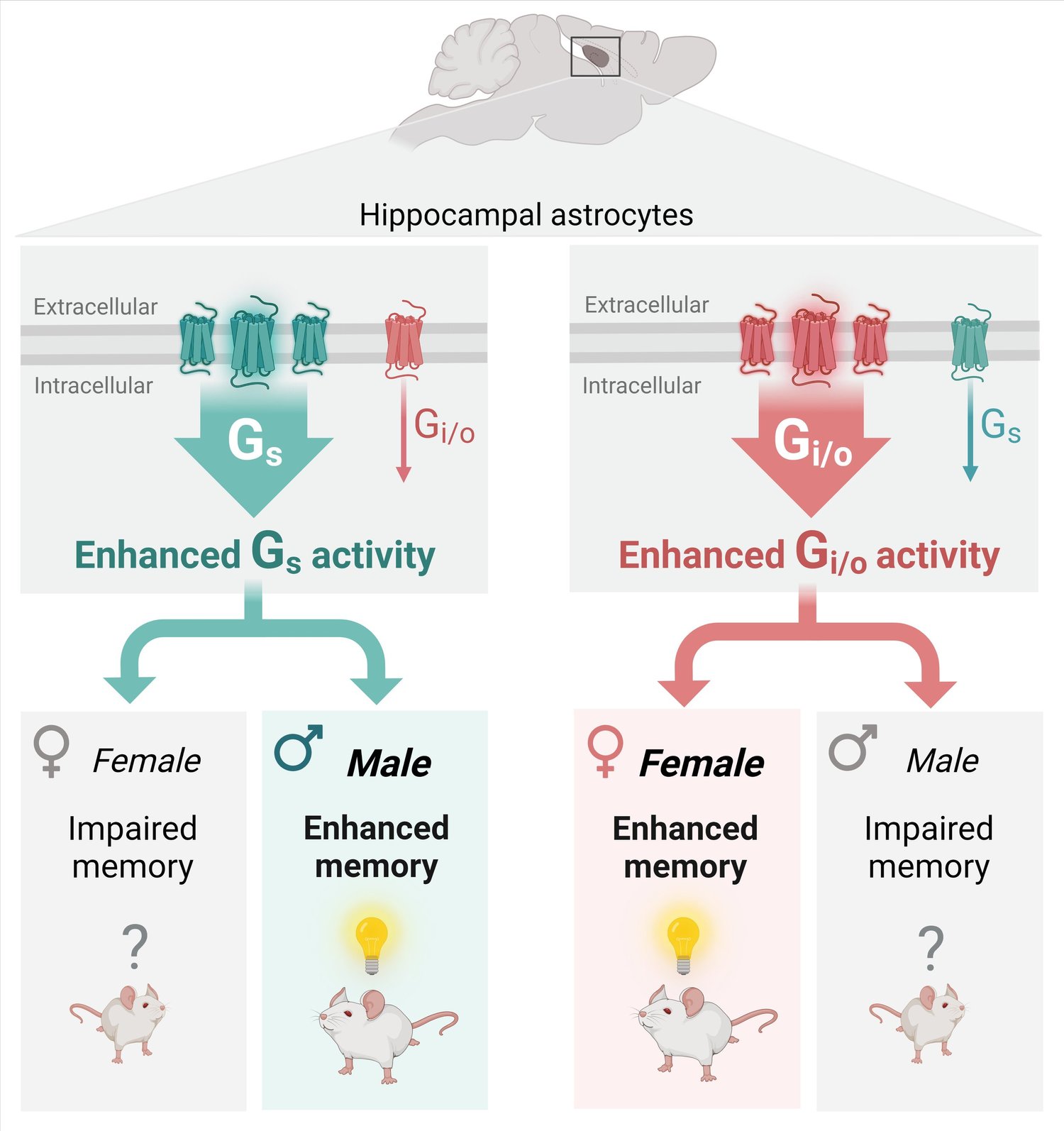 Welcome — The Orr Laboratory