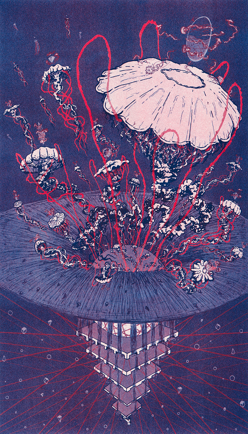 Jellyfish and Geometry